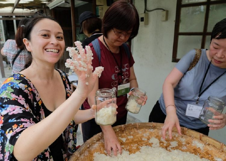 Home - Auburn Digest